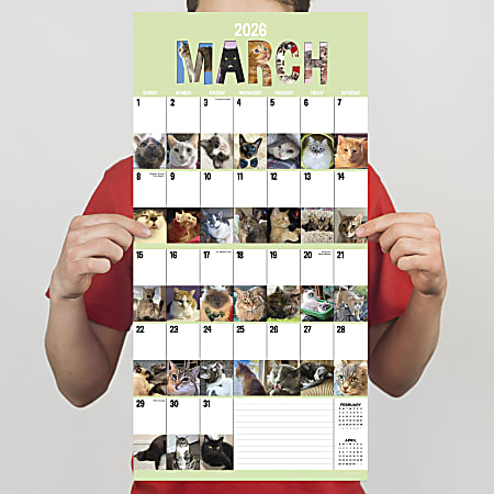 2026 TF Publishing Animals Monthly Wall Calendar 12 x 12 Cat A Day ...