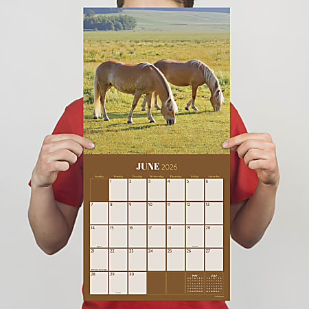 2026 TF Publishing Animals Monthly Wall Calendar 12 x 12 Horses January ...