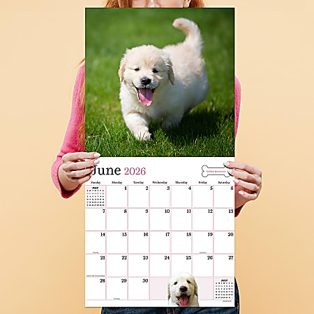 2026 TF Publishing Animals Monthly Wall Calendar 12 x 12 Puppies ...