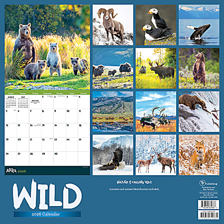2026 TF Publishing Animals Monthly Wall Calendar 12 x 12 Wild January ...