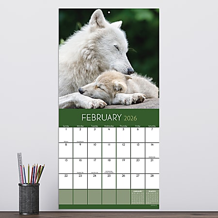 2026 TF Publishing Animals Monthly Wall Calendar 12 x 12 Wolves January ...