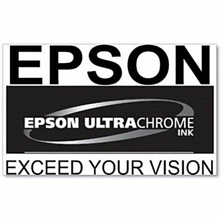 Epson UltraChrome PRO 770 Original Inkjet Ink Cartridge Gray Pack ...