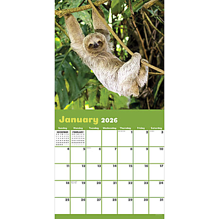 2026 TF Publishing Animals Monthly Wall Calendar 12 x 12 Sloths January ...