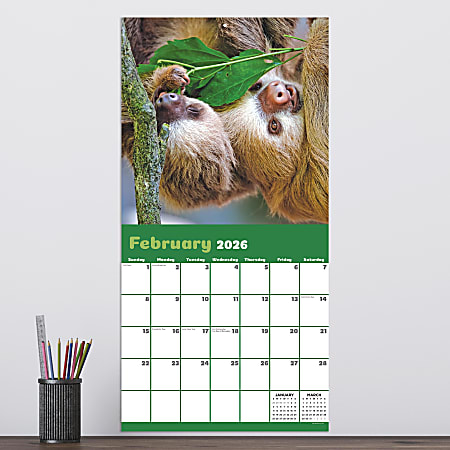 2026 TF Publishing Animals Monthly Wall Calendar 12 x 12 Sloths January ...