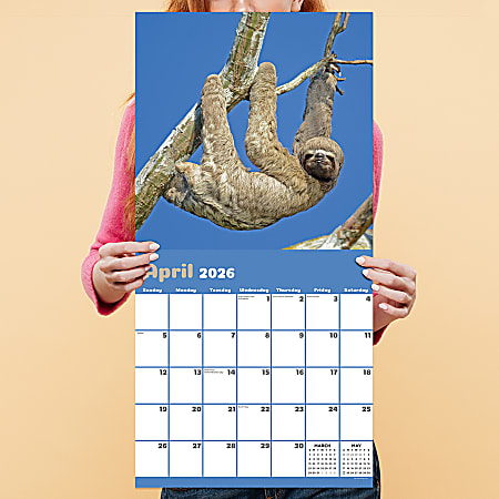 2026 TF Publishing Animals Monthly Wall Calendar 12 x 12 Sloths January ...
