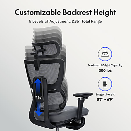Flexispot C7 MAX Ergonomic Chair Foam Mesh With Footrest Black color ...