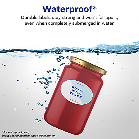 Avery Waterproof Permanent Labels With Sure Feed 94056 WMF25 Oval 2 x 3 ...