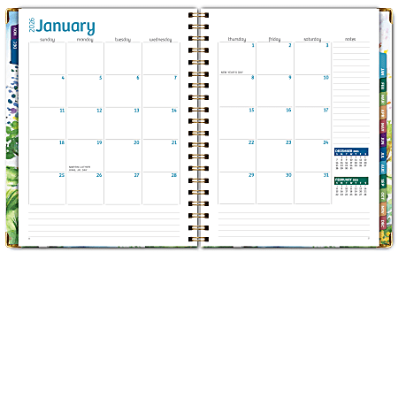 2026 Excello Brands Hardcover Fashion DailyWeeklyMonthly Planner 8.5 x ...