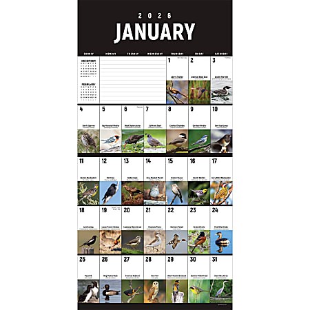 2026 TF Publishing Animals Monthly Wall Calendar 12 x 12 Birds Backyard ...
