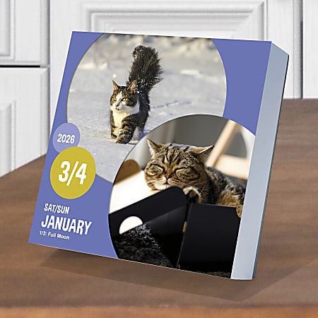 2026 TF Publishing Daily Desktop Box Calendar 5 14 x 5 14 Cat A Day ...