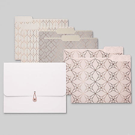 Office Depot Brand Project Folder Letter Size 1 14 Expansion Rose ...