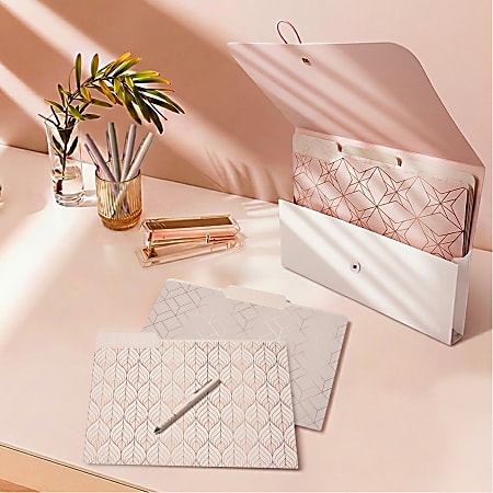 Office Depot Brand Project Folder Letter Size 1 14 Expansion Rose ...