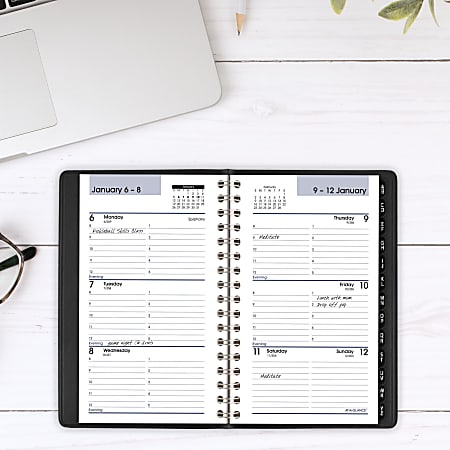 2025 AT A GLANCE DayMinder Weekly Appointment Book Planner 3 12 x 6 ...