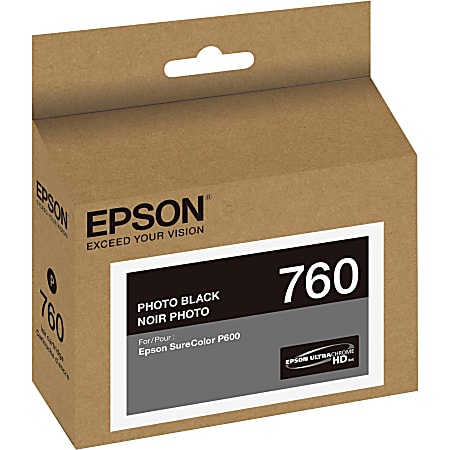Epson UltraChrome HD T760 Original Ink Cartridge Inkjet Photo Black 1 ...