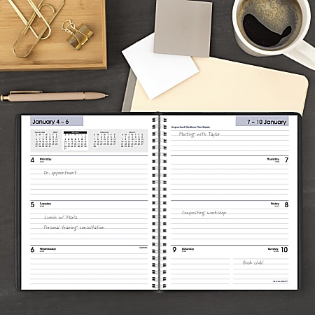 AT A GLANCE DayMinder Executive 2027 Weekly Monthly Planner with Notes ...
