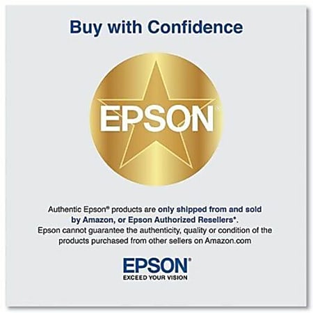 Epson UltraChrome PRO 770 Original Inkjet Ink Cartridge Photo Black ...