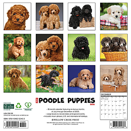 2026 Willow Creek Press Animals Monthly Wall Calendar 12 x 12 Poodle ...