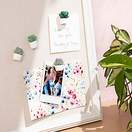 U Brands Potted Succulent Push Pins White Set Of 8 Pins - Office Depot