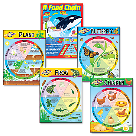 TREND Learning Chart Combo Pack - Office Depot