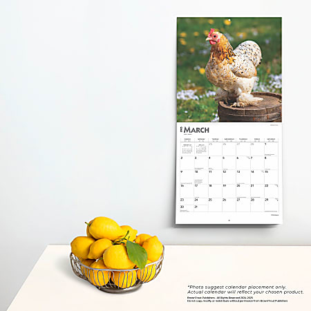 2025 BrownTrout Chickens Monthly Plastic Free Square Wall Calendar 12 x ...