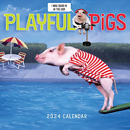 2024 TF Publishing Animal Wall Calendars 12 x 12 Playful Pigs January ...