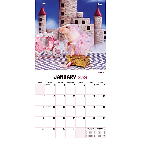 2024 TF Publishing Animal Wall Calendars 12 x 12 Playful Pigs January ...