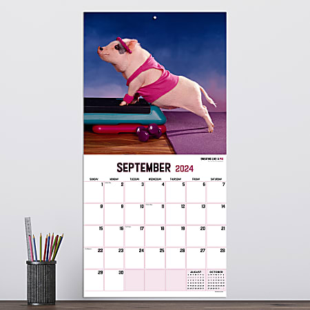 2024 TF Publishing Animal Wall Calendars 12 x 12 Playful Pigs January ...
