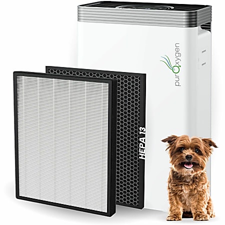 Air purifier hepa and carbon store