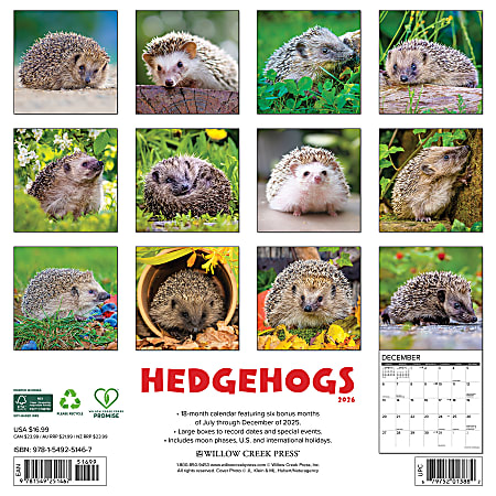 2026 Willow Creek Press Animals Monthly Wall Calendar 12 x 12 Hedgehogs ...