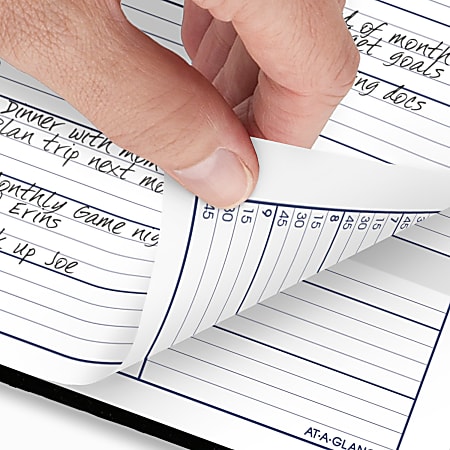 AT A GLANCE DayMinder 2026 Weekly Appointment Book Planner Hardcover ...