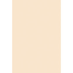 Pacon Tag Board 24 x 36 105 Lb Manila Pack Of 100 - Office Depot