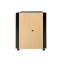 Tripp Lite 18U Soundproof Rack Enclosure Server Cabinet Quiet Acoustic ...